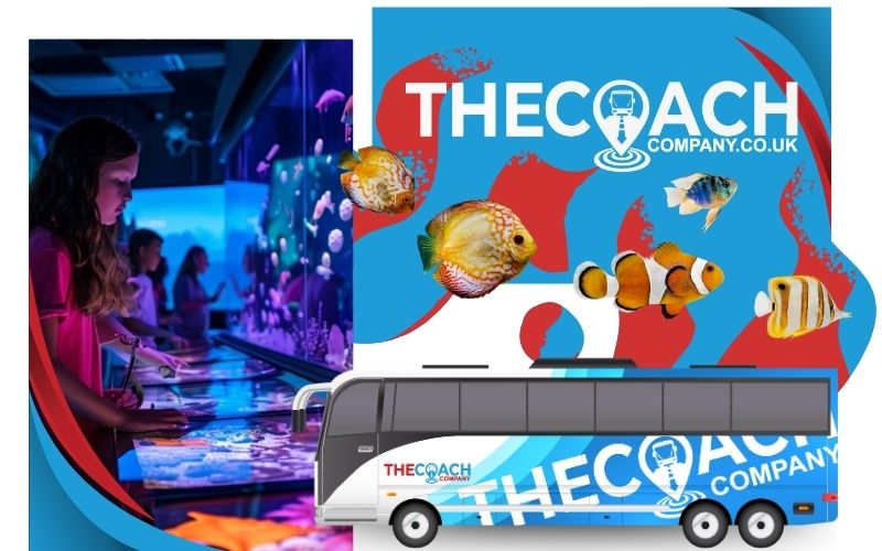 Enhance Education with Interactive Learning at the Science Museum